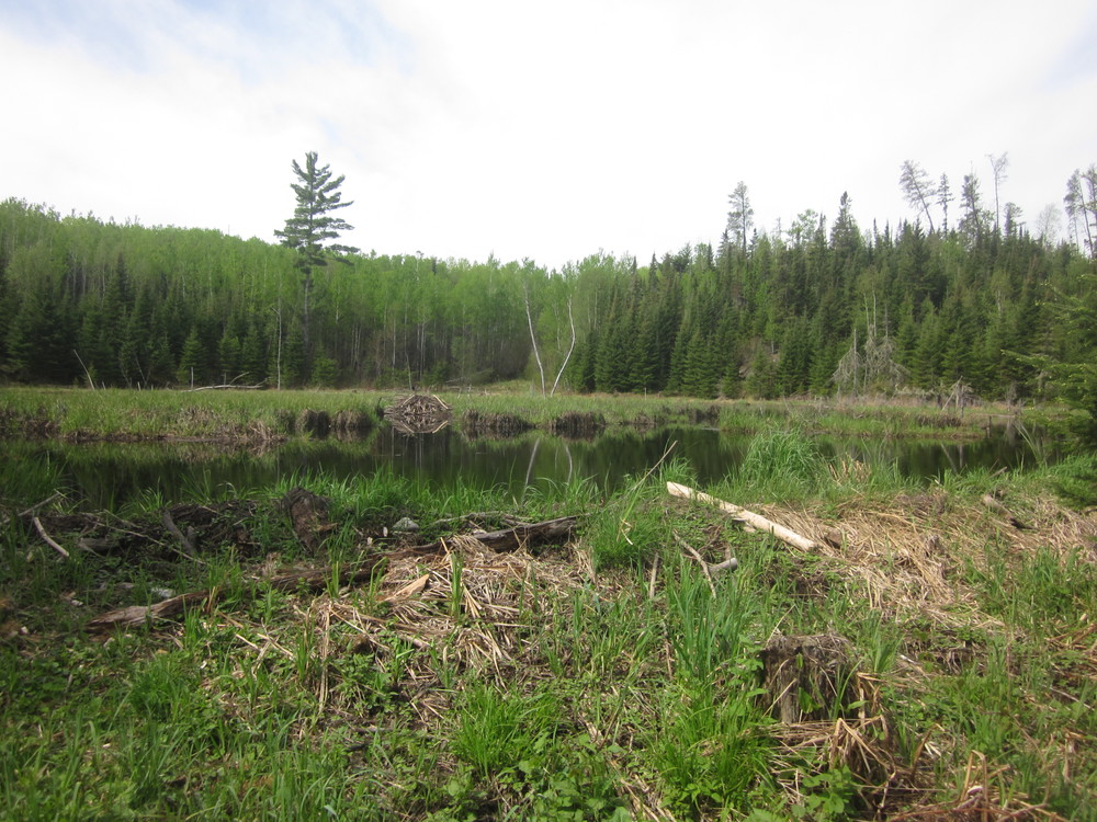 Snowbank Lake Trail | The Someday Adventures