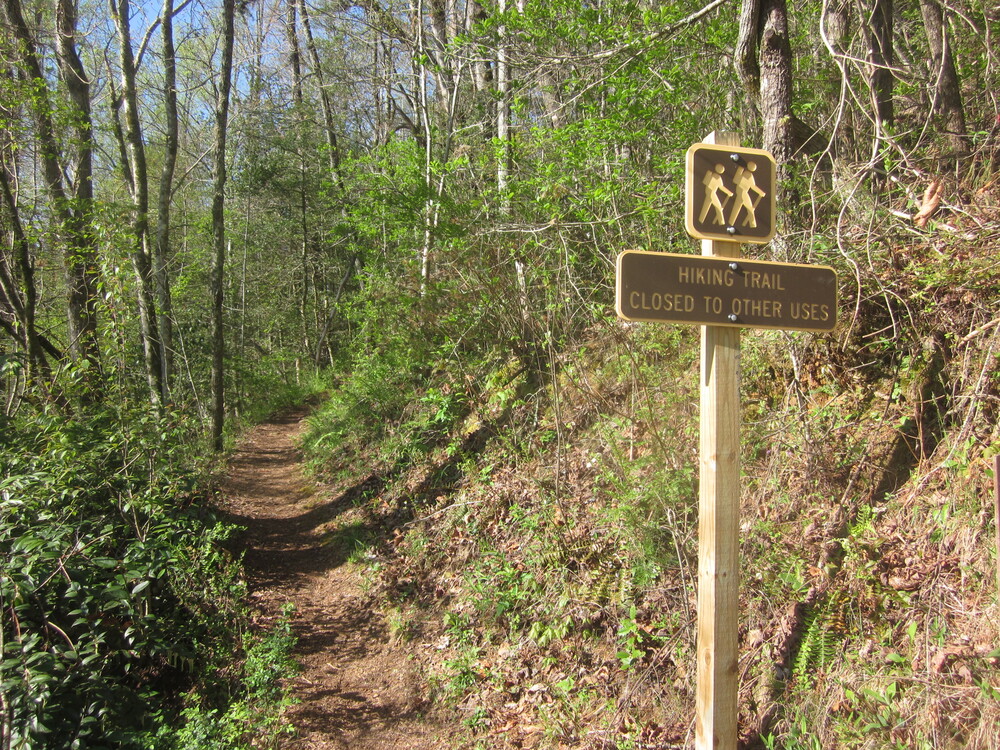 Bartram Trail | The Someday Adventures